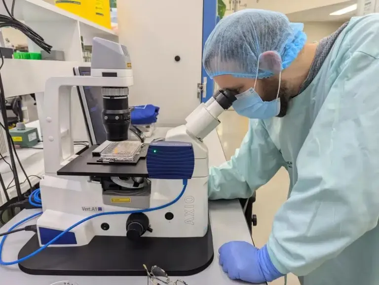 CL1: Il primo biocomputer commerciale basato su neuroni umani