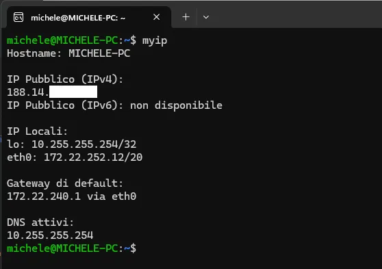 MyIP, un alias per trovare gli indirizzi IP su Linux e Windows | IlSoftware.it