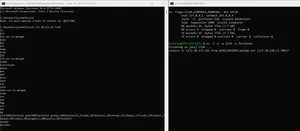 Netcat: il segreto dei Pro per il Networking su Linux e Windows | IlSoftware.it