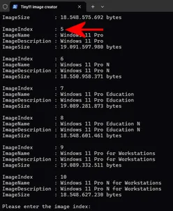 Tiny 11 Download dello script per alleggerire Windows 11 senza rischi ...