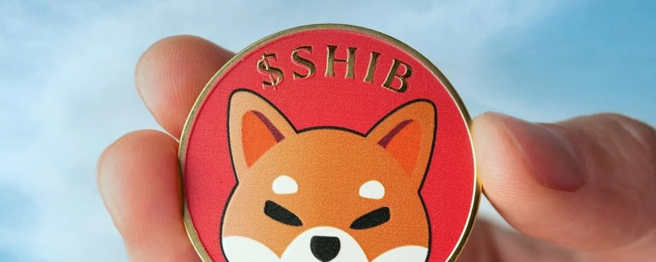 L'alternativa Shiba Inu registra una impennata di popolarità