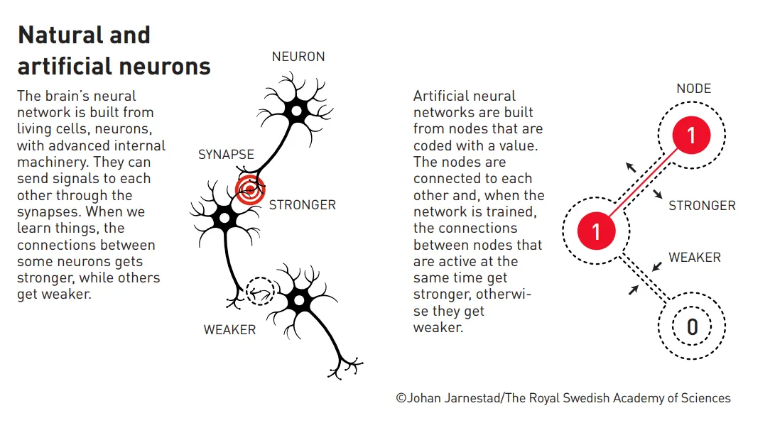 Nobel fisica a Geoffrey Hinton e John Hopfield: come funzionano le loro reti neurali artificiali