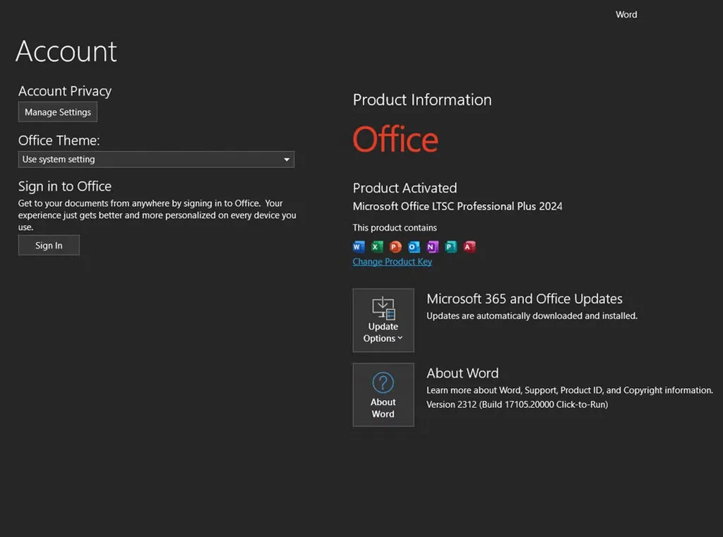 Dove acquistare Office 2024 Professional Plus e risparmiare senza rischi