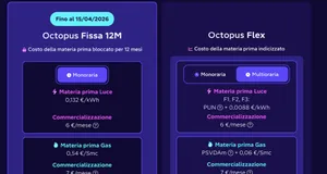Luce e gas a prezzo fisso: la proposta di Octopus Energy Italia