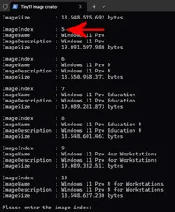 Tiny 11 Download dello script per alleggerire Windows 11 senza rischi ...